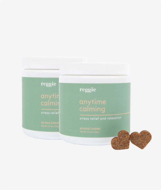 EVERYTHING HE NEEDS – Reggie