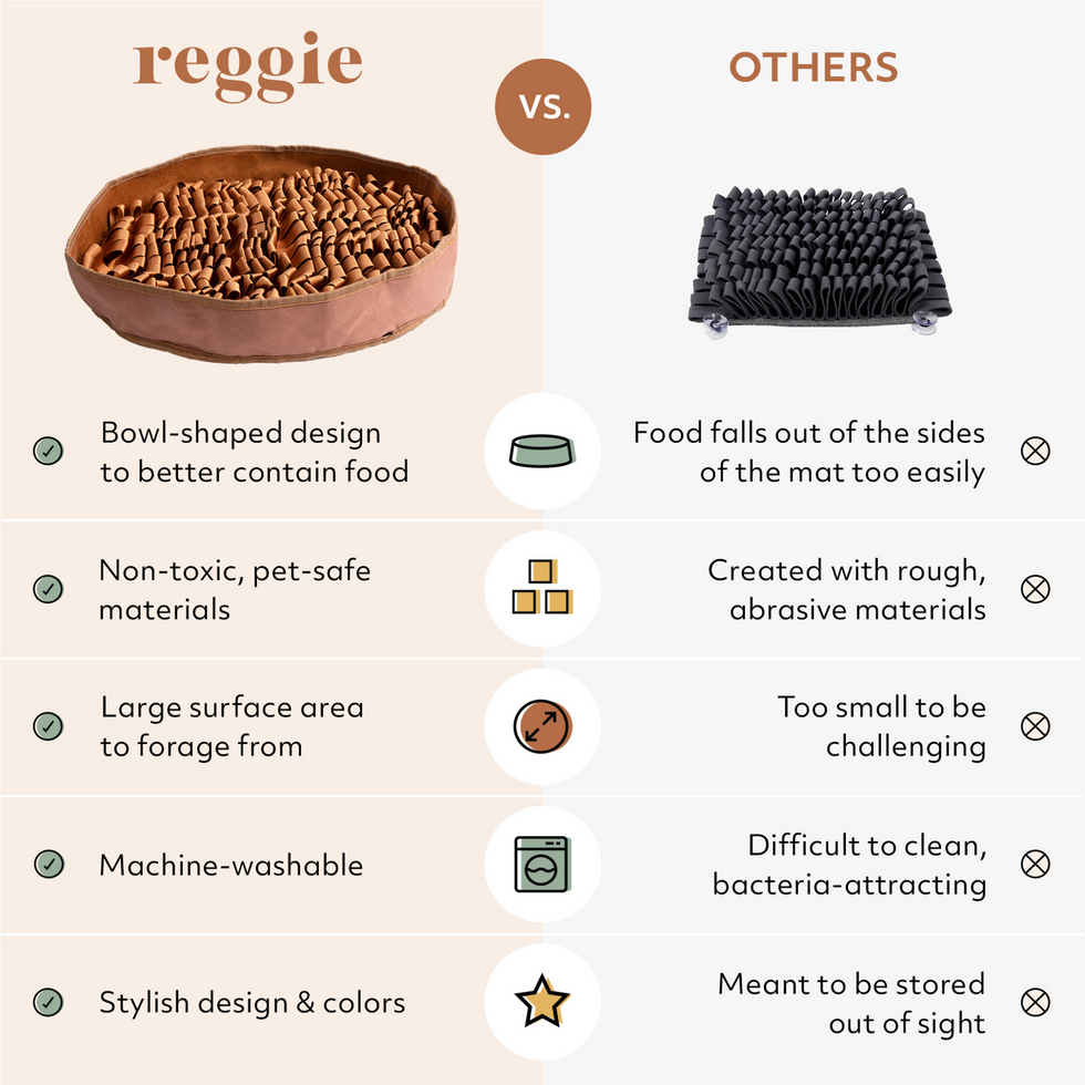 Stimulating Feeder Mat – Slow Feeding & Enrichment Tool | Reggie