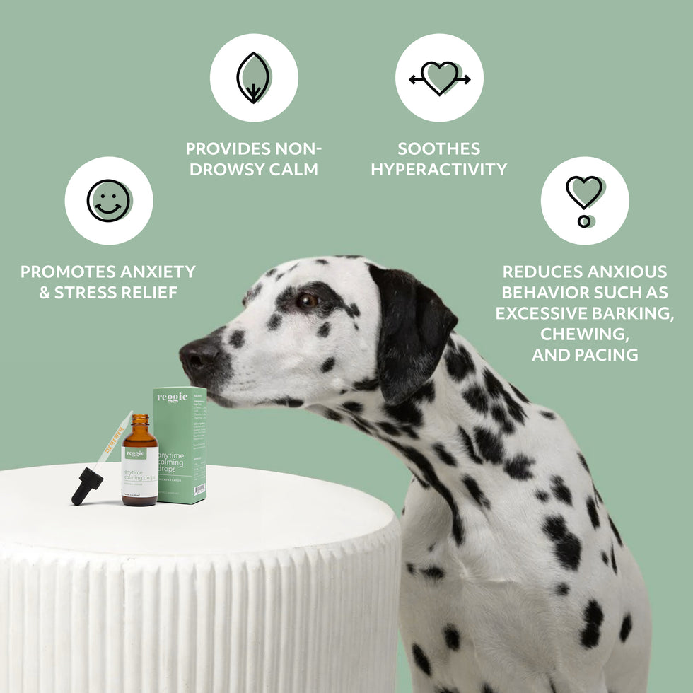 Anytime Calming Drops – Fast-Acting Herbal Stress Relief | Reggie