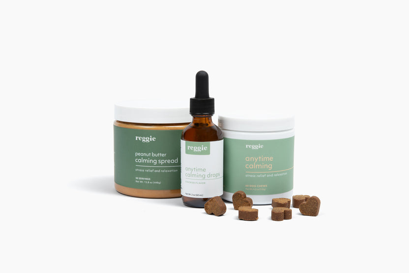 Frequently Asked Questions | Reggie