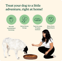 Stimulating Feeder Mat – Slow Feeding & Enrichment Tool | Reggie