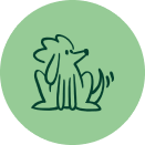 Stimulating Feeder Mat – Slow Feeding & Enrichment Tool | Reggie