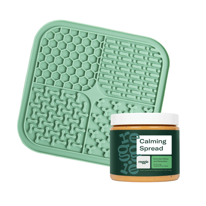 Dog Enrichment Tools – Feeders, Toys & Lick Mats | Reggie