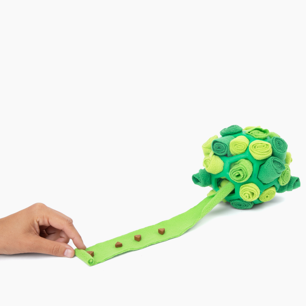 Forager Ball – Reggie