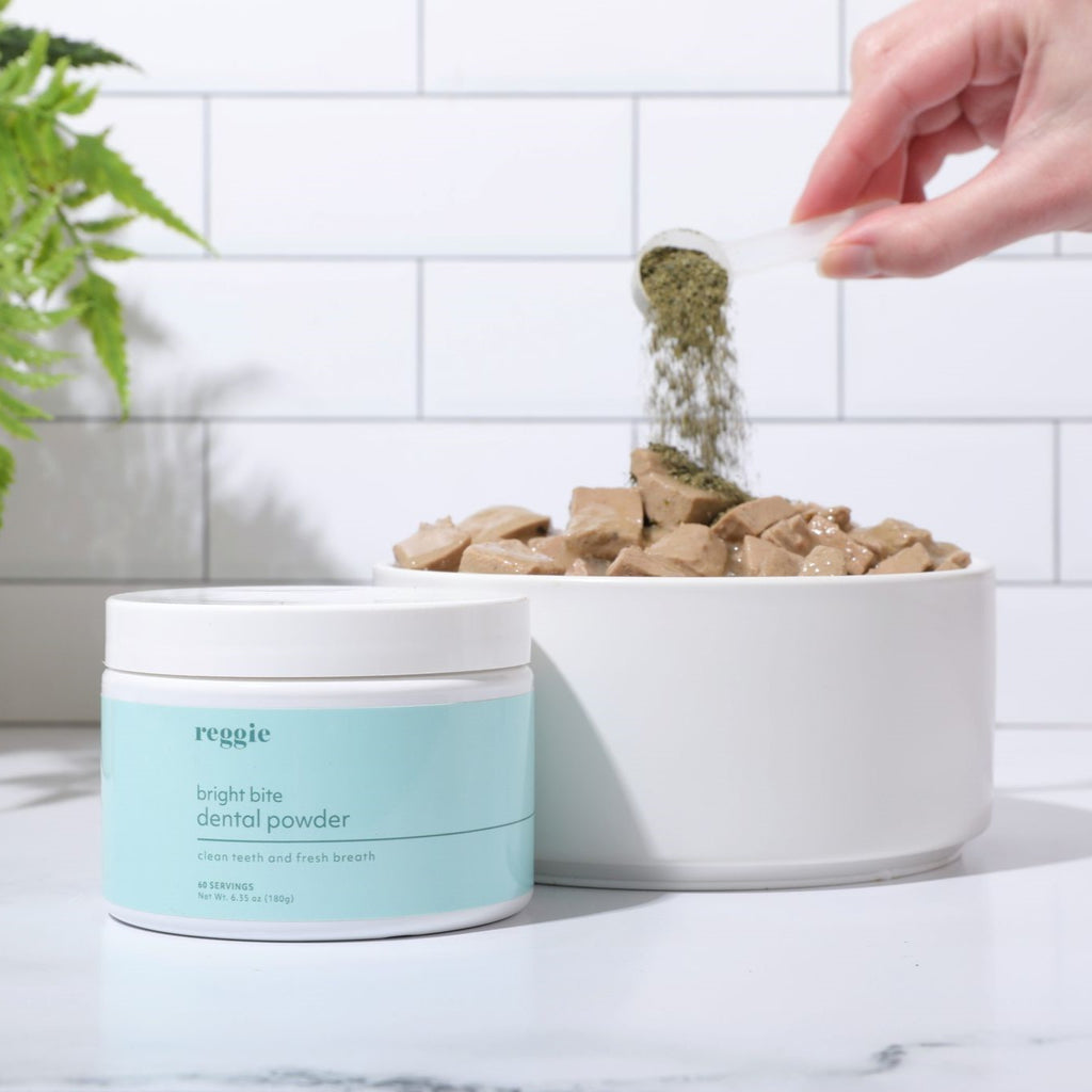 Bright Bite Dental Powder – Reggie