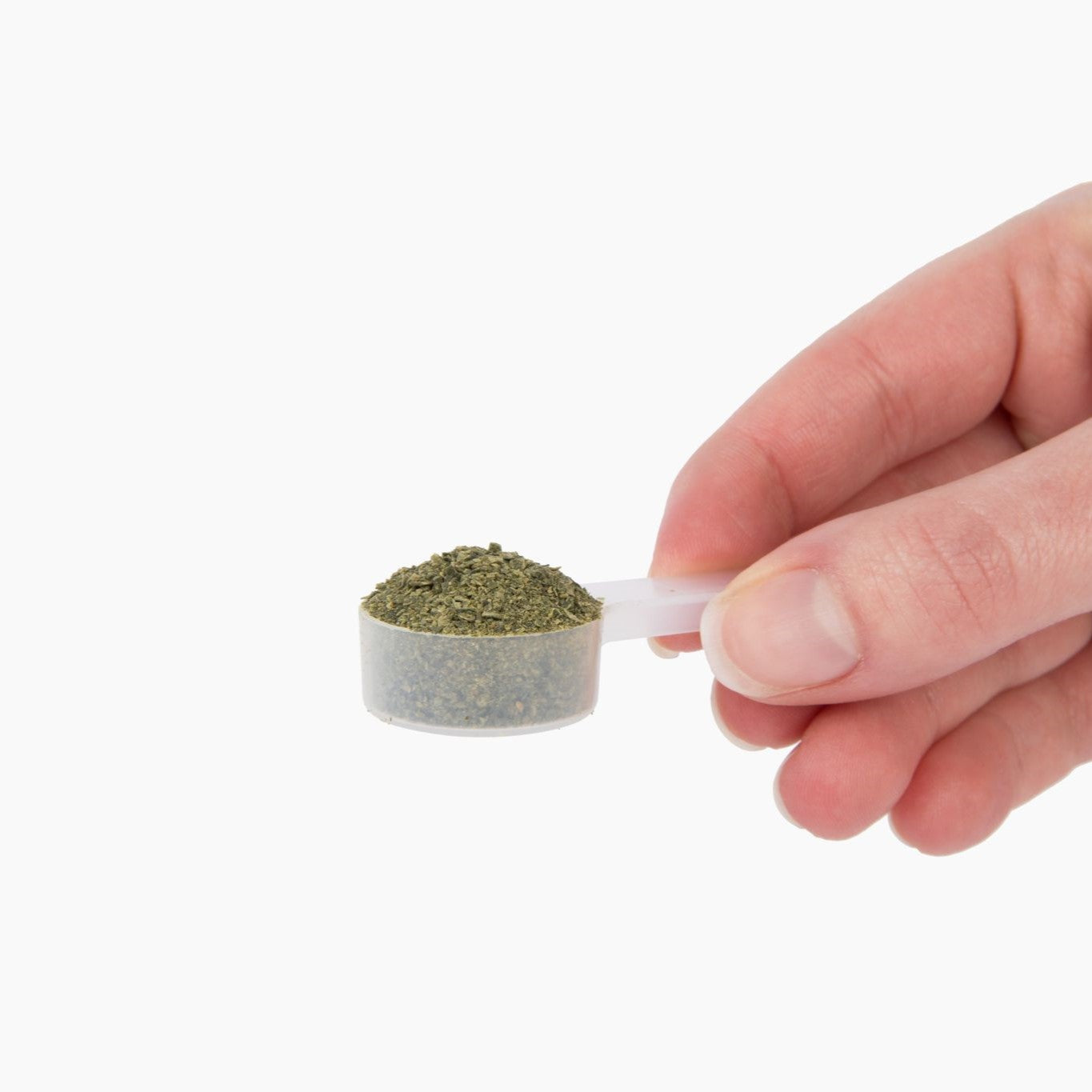 Bright Bite Dental Powder – Reggie