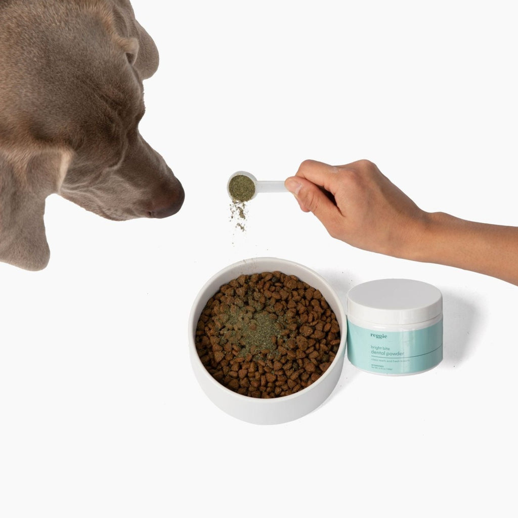 Bright Bite Dental Powder – Reggie